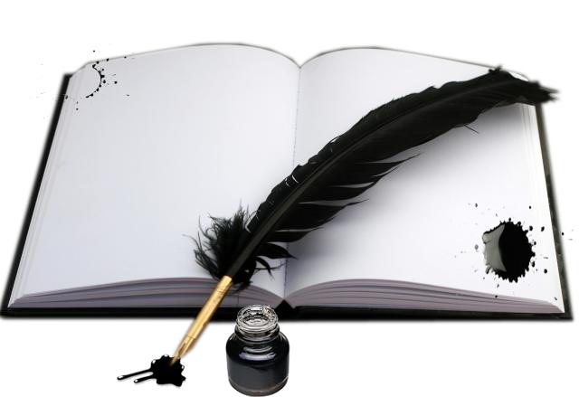 quill – Insights From A Bipolar Bear